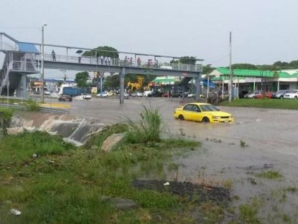 Resurgen amenazas de inundación por destrucción de manglares en Panamá ...